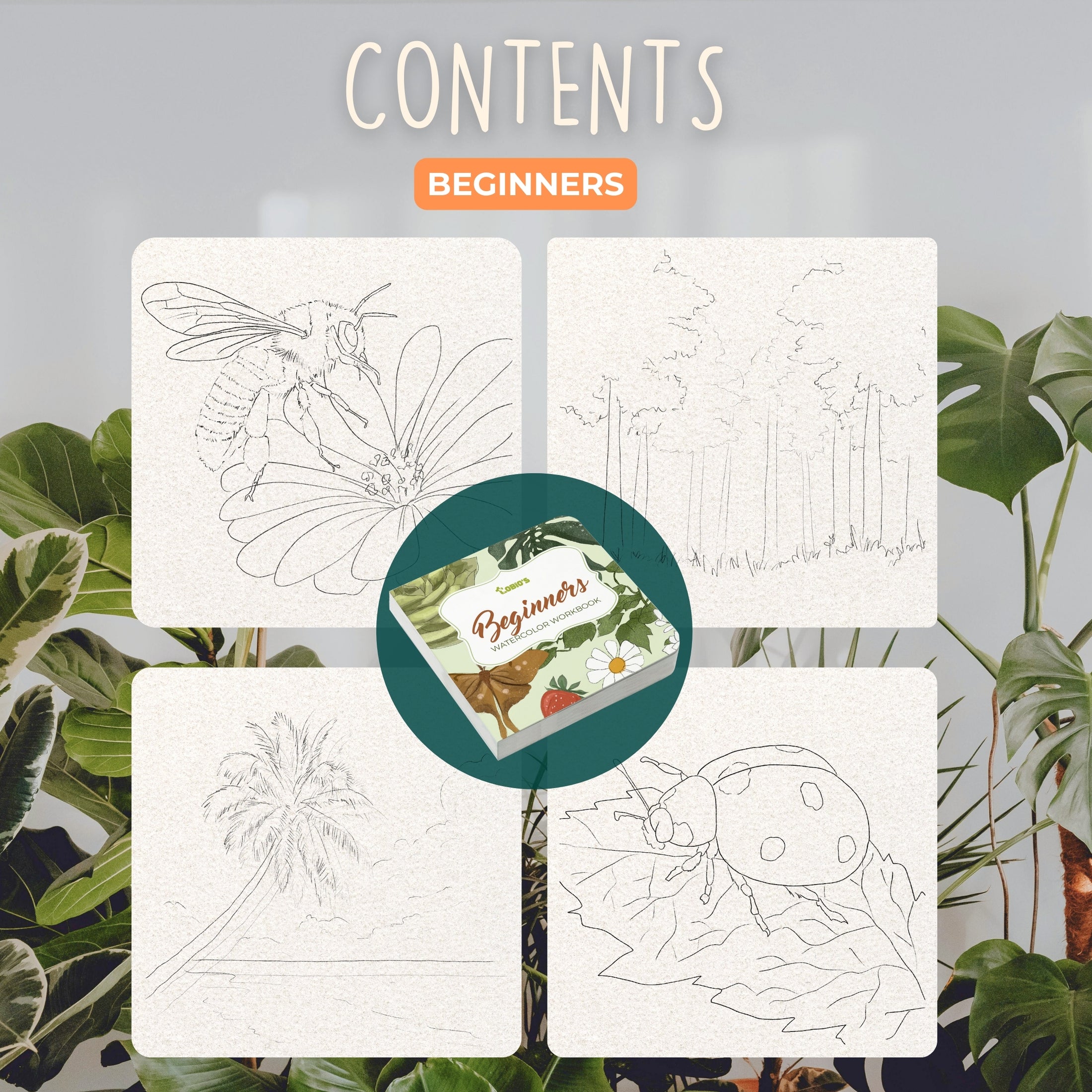 Tobio's Beginners Workbook - $12.99 Value